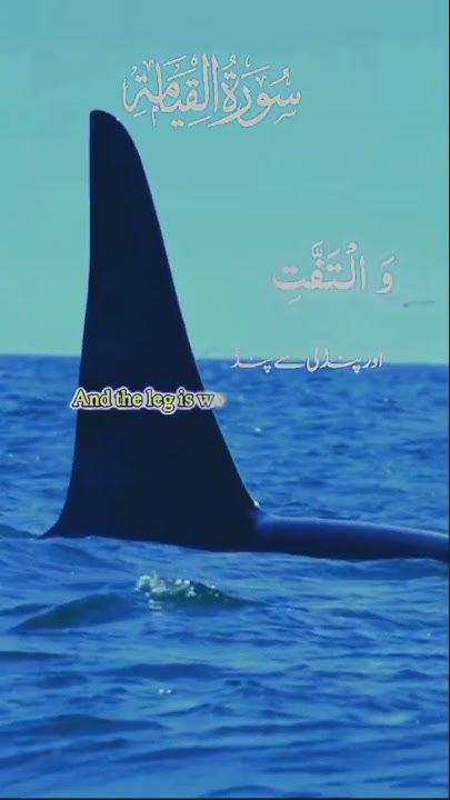 pashton official search tilawat Quran YouTube channel - YouTube