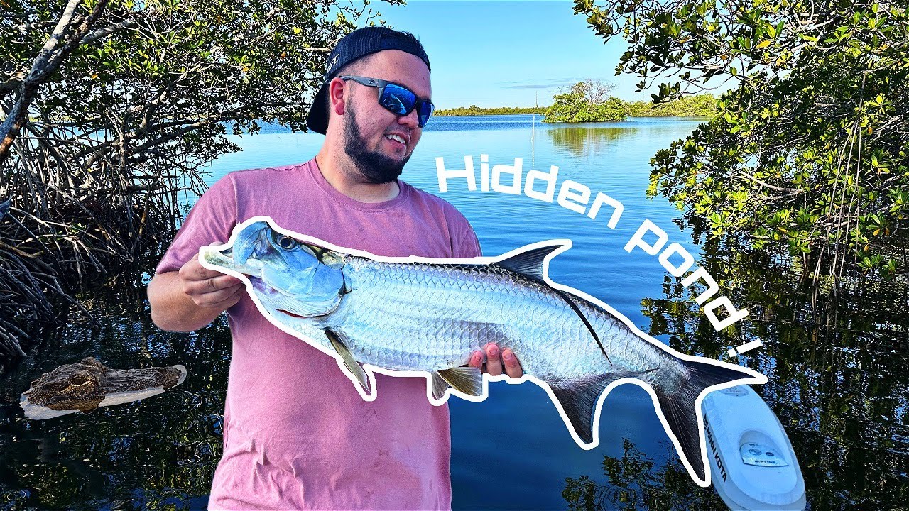 Discovering HUGE TARPON & SNOOK in HIDDEN MANGROVE PONDS !! | never ...