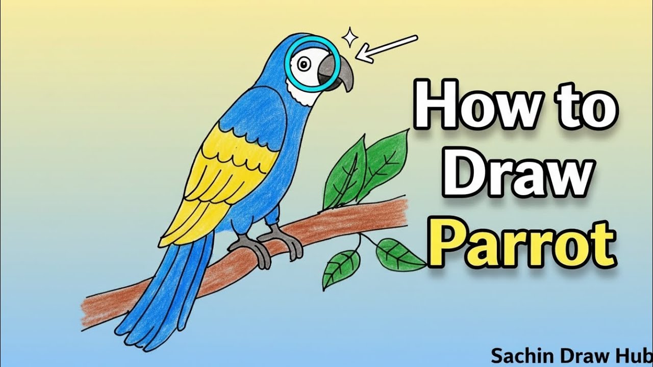 How to Draw Parrot | Easy Parrot Drawing Step by Step Tutorial | Sachin ...