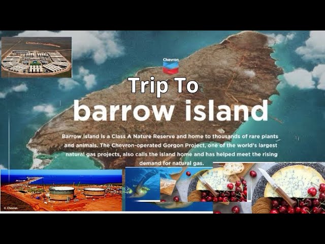 Barrow Island Memes John McAfee Wikipedia