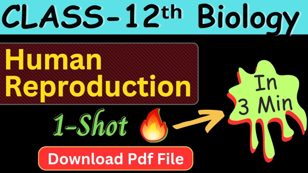Human Reproduction One Shot Class 12 Biology Notes Ch 3 Board Neet exam ...