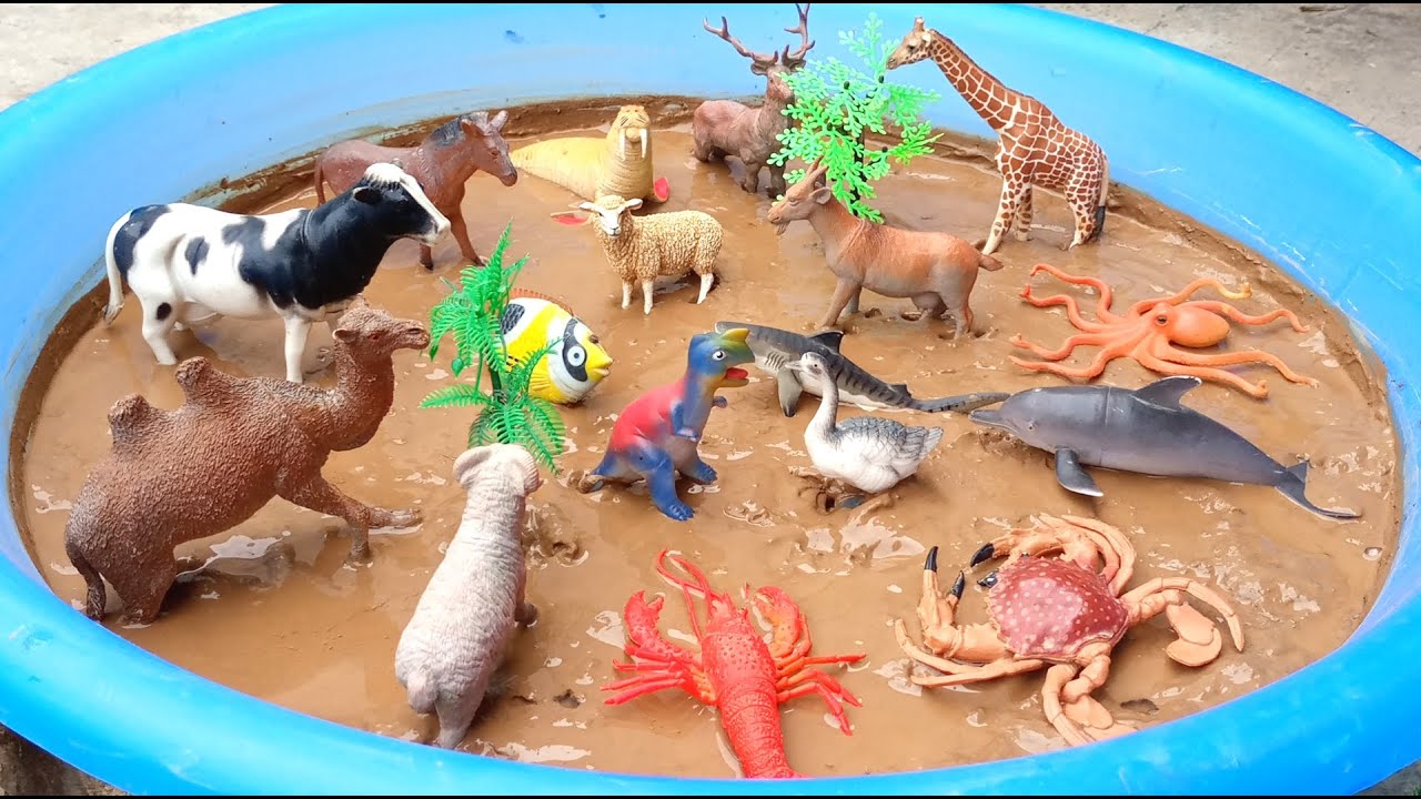 Sea vs Land Animals in a Sandbox: Animal Adventure for Kids - YouTube