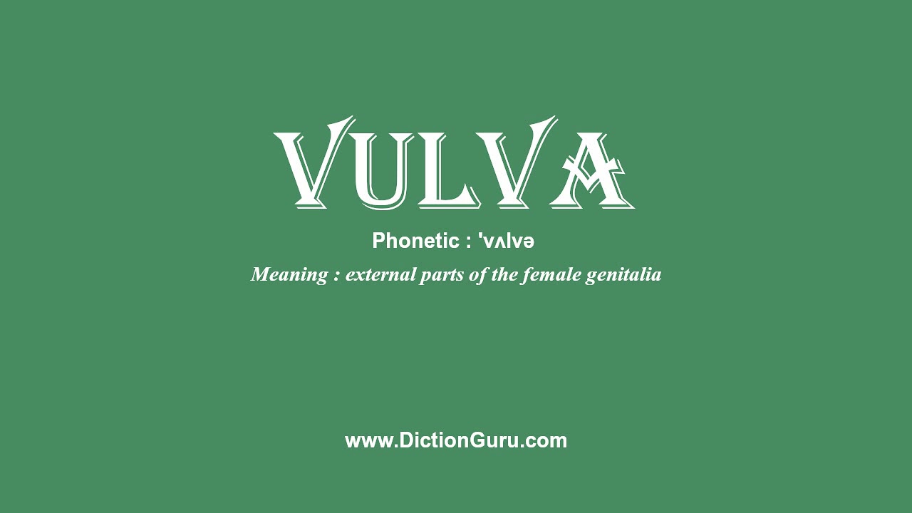 Vulva Pronounce Vulva With Meaning Phonetic Synonyms And Sentence vulva-pronounce-vulva-with-meaning-phonetic-synonyms-and-sentence
