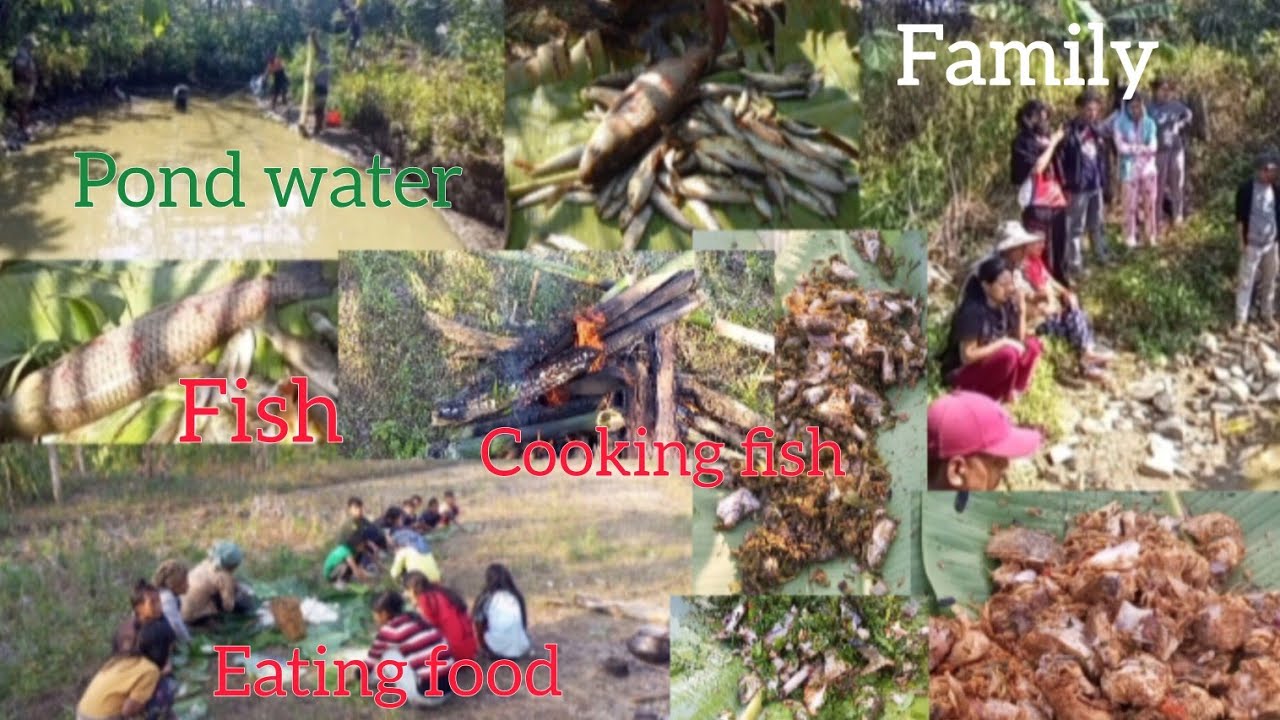 pond water ~ fish catching and cooking fish 🎣🎣👍👍👍 - YouTube