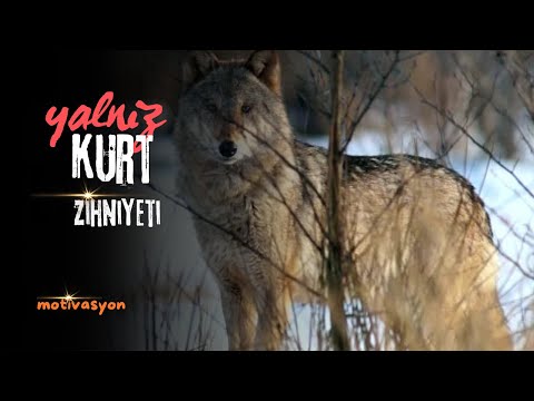 MOTİVASYON // YALNIZ KURT ZİHNİYETİ // #motivation  #motivasyon