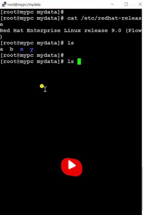 How To Identify π€ File And Directory In Linux π€© Rhelcentosubuntu Linux Shorts
