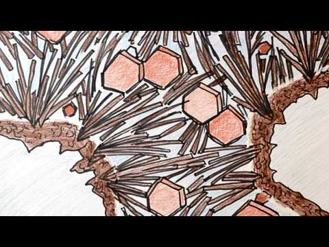 MinuteCement - Introduction to cement chemistry