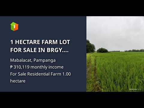 1 HECTARE FARM LOT FOR SALE IN BRGY. DUQUIT, MABALACAT, PAMPANGA - YouTube