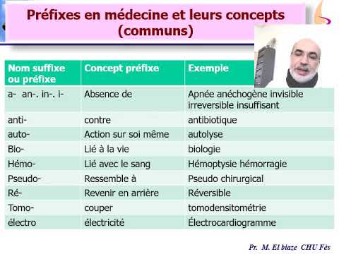 II structure d'un terme médical français 7 préfixes médicaux et leurs ...