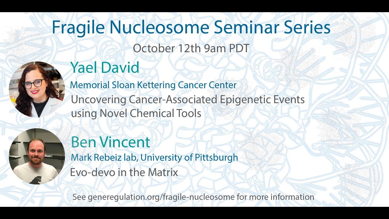 Ben Vincent: Evo-devo in the Matrix - YouTube