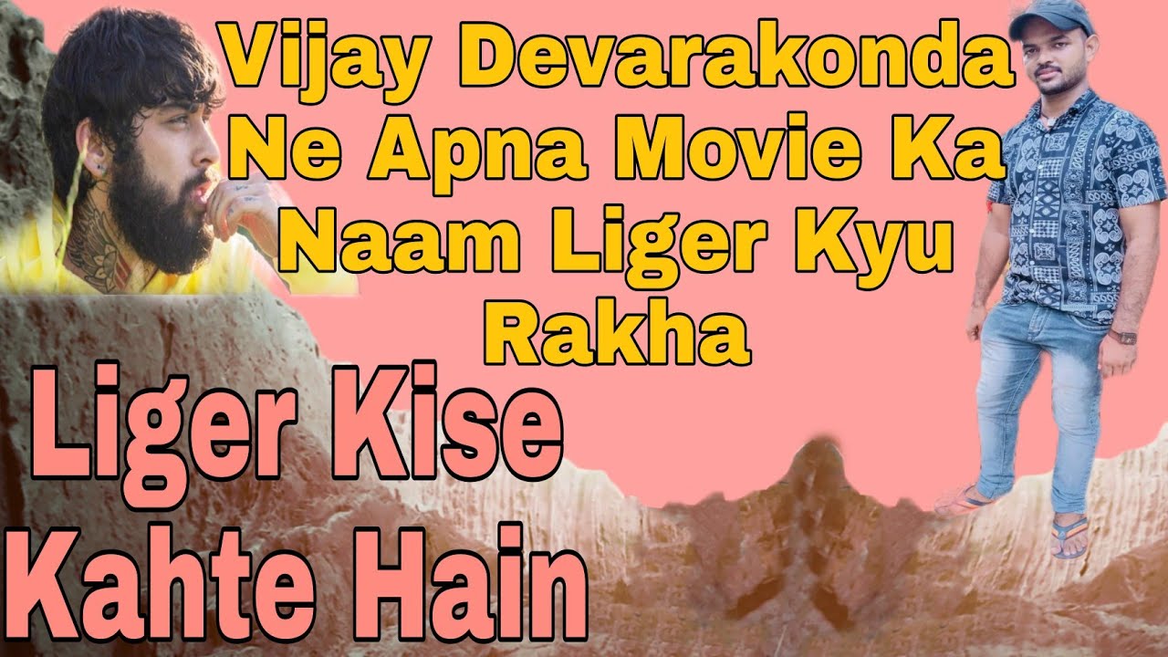 Khacchar Kaise Paida Hota Hai|Liger Kise Kahte Hain//@sachitkumarsingh ...