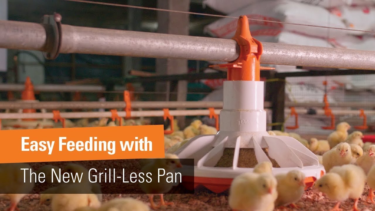 Vista 330 | Grill-Less Feeding Pan - YouTube