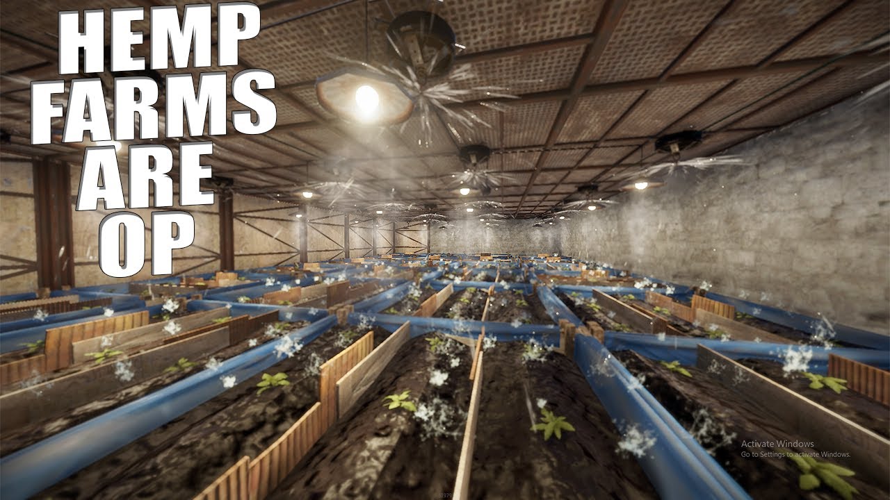 RUST - HEMP FARMS ARE CRAZY GOOD (PvP) - YouTube