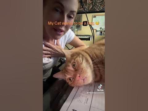 My Cat Want To Be A Dog #therapist #petlovers #catlover - YouTube