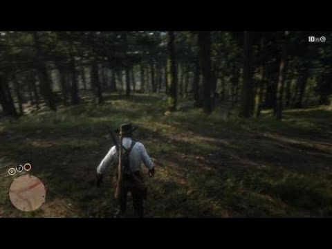 Red Dead Redemption 2 illusive wolfman - YouTube