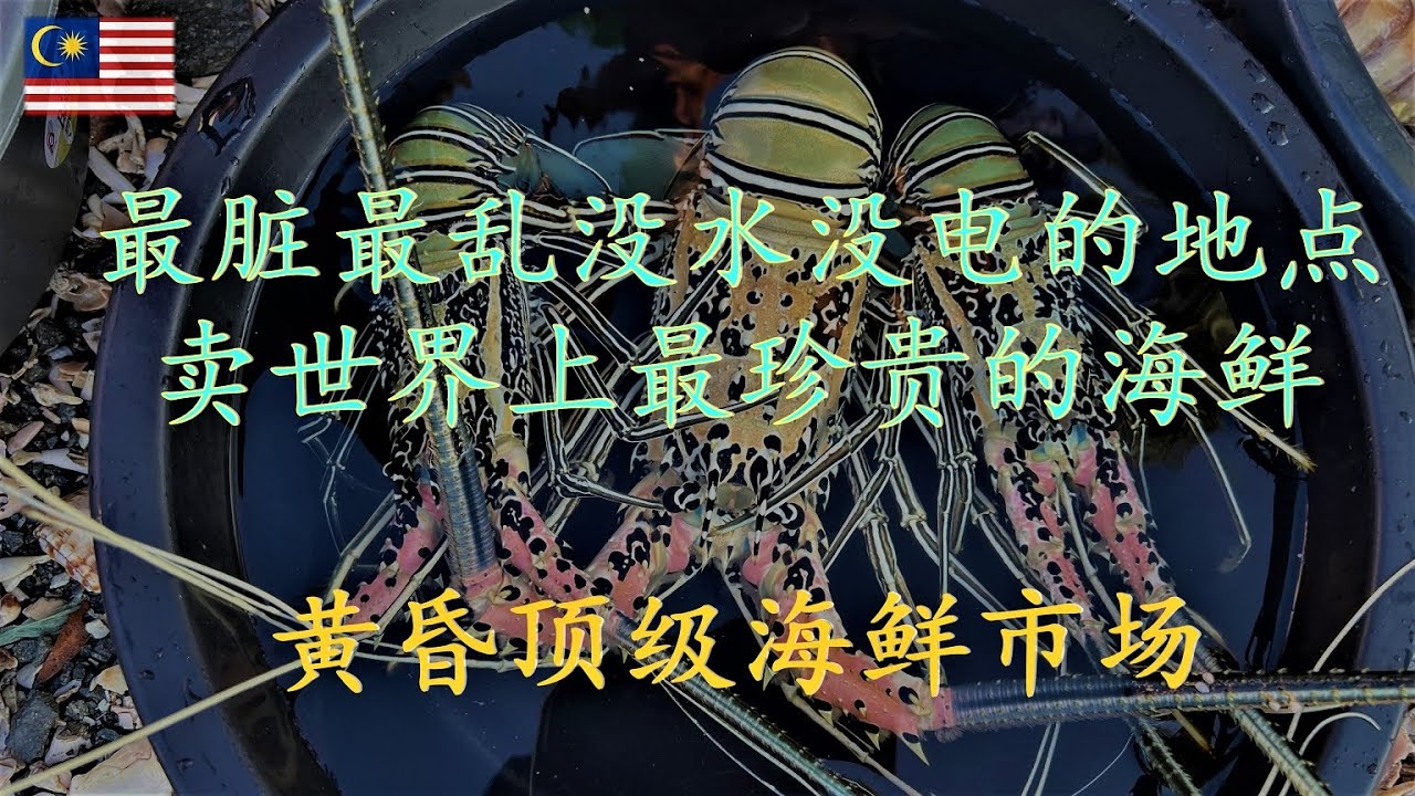 42. 黄昏顶级海鲜市场. [4K] Evening top grade seafood market - YouTube