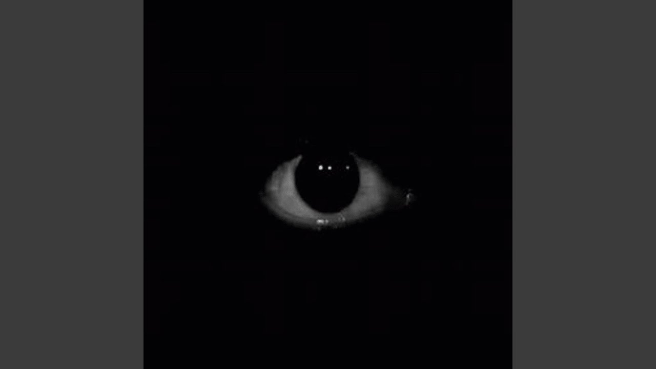 The eyes staring back at you from the abyss - YouTube