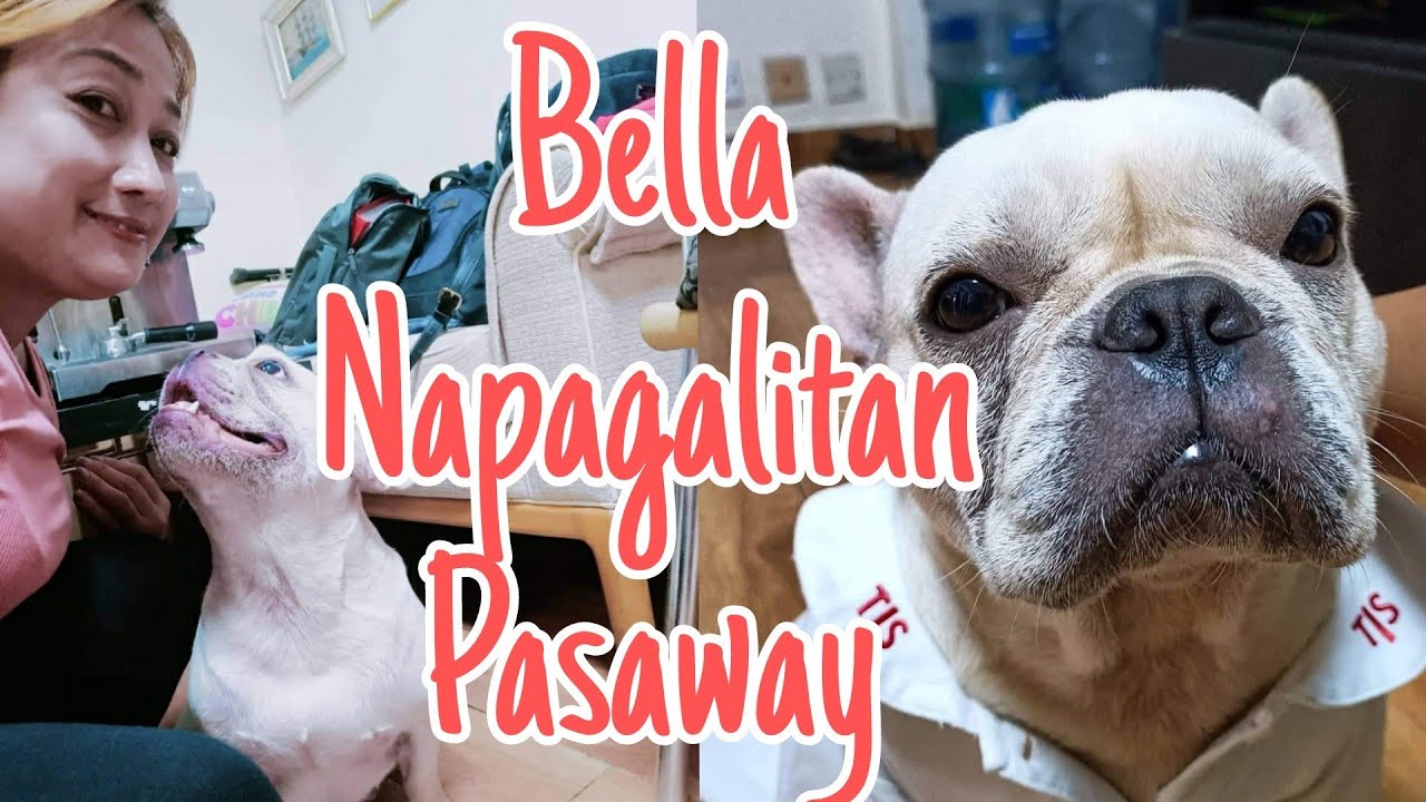 Pinagalitan Ko Si Bella Pasaway - YouTube
