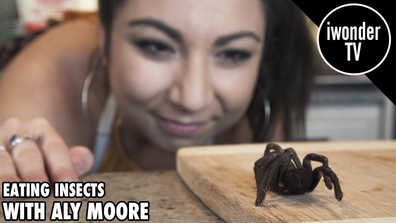 The Future Of Food And Eating Insects With Aly Moore - YouTube