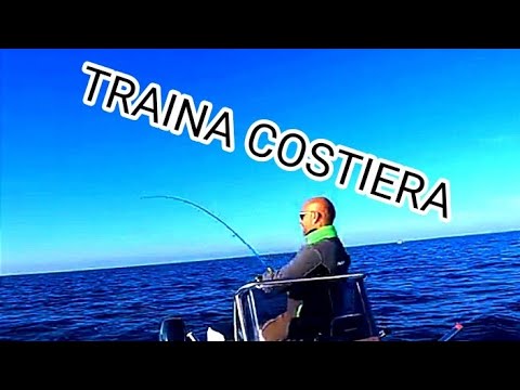 TRAINA DI SUPERFICE CON ESCHE DI GALLA - YouTube