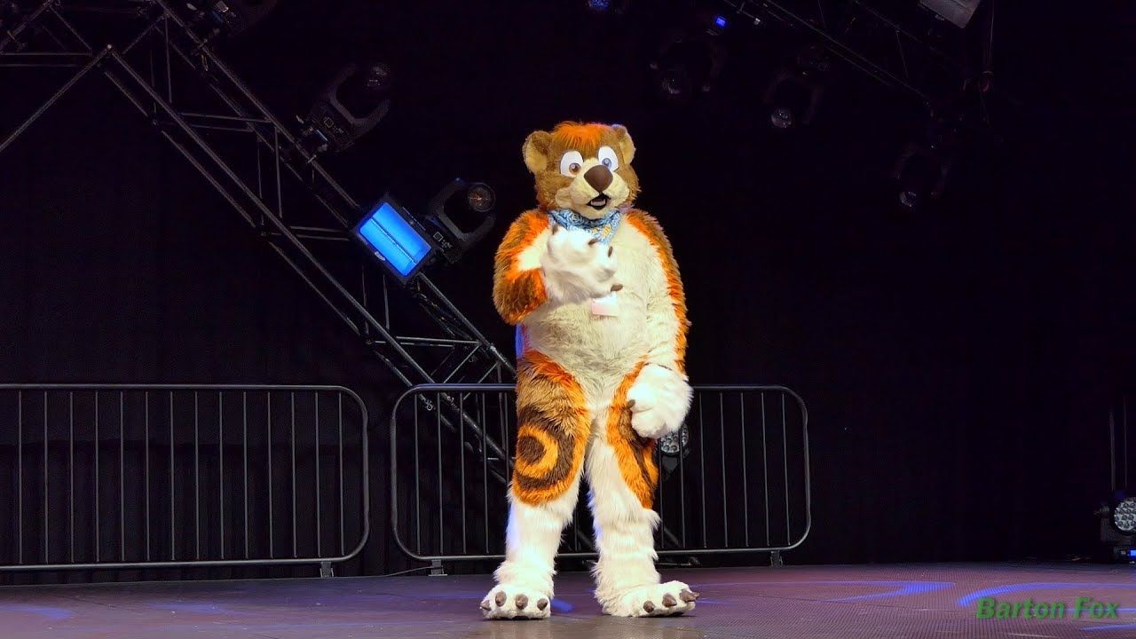 MFF 2018 - Dance Competition - Digi Bear - YouTube