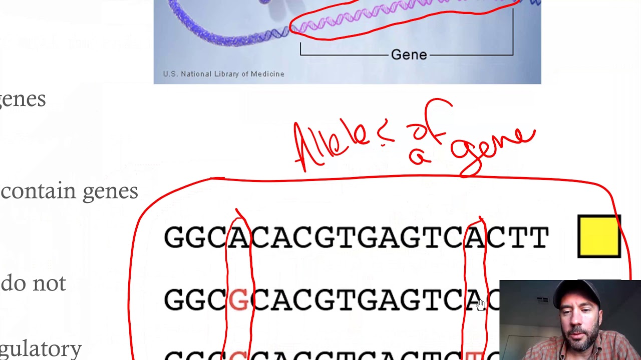 Genetics (Part 1) - YouTube