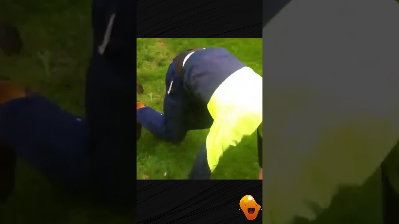 Duck chases man😂 - YouTube