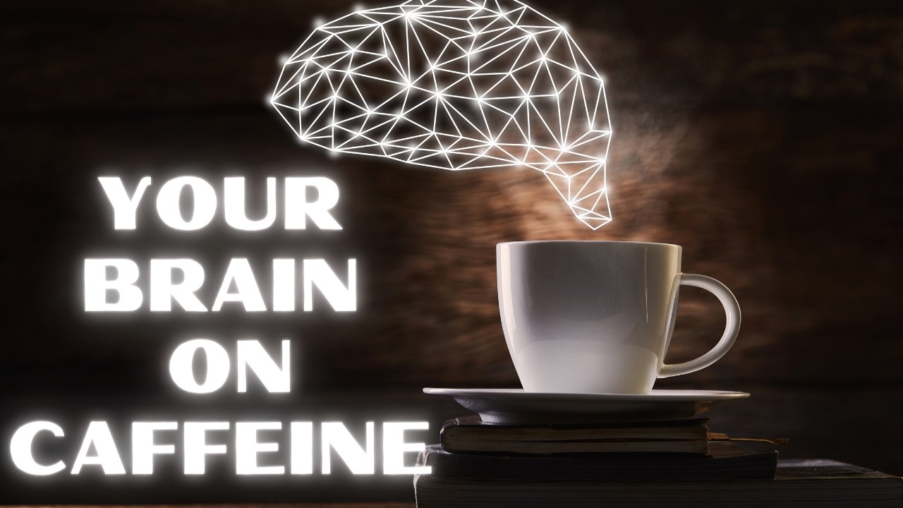 How Caffeine Affects Your Brain? (The Shocking Truth About Caffeine ...