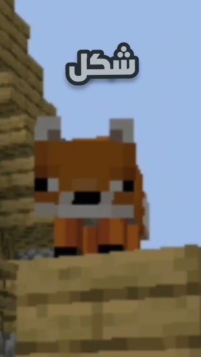 ماين كرافت ولكن انا تحول إلى ثعلب🦊😂minecraft Youtube