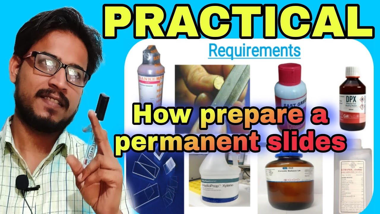 How prepare a permanent slide/preparation of permanent slide/permanent ...