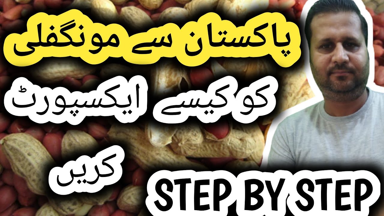 How to export Peanut from Pakistan ||Pakistan say Peanut ko Kaisey ...