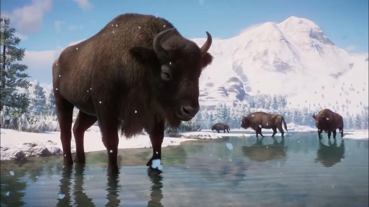 Planet Zoo: Eurasia Animal Pack | Announcement Trailer - YouTube