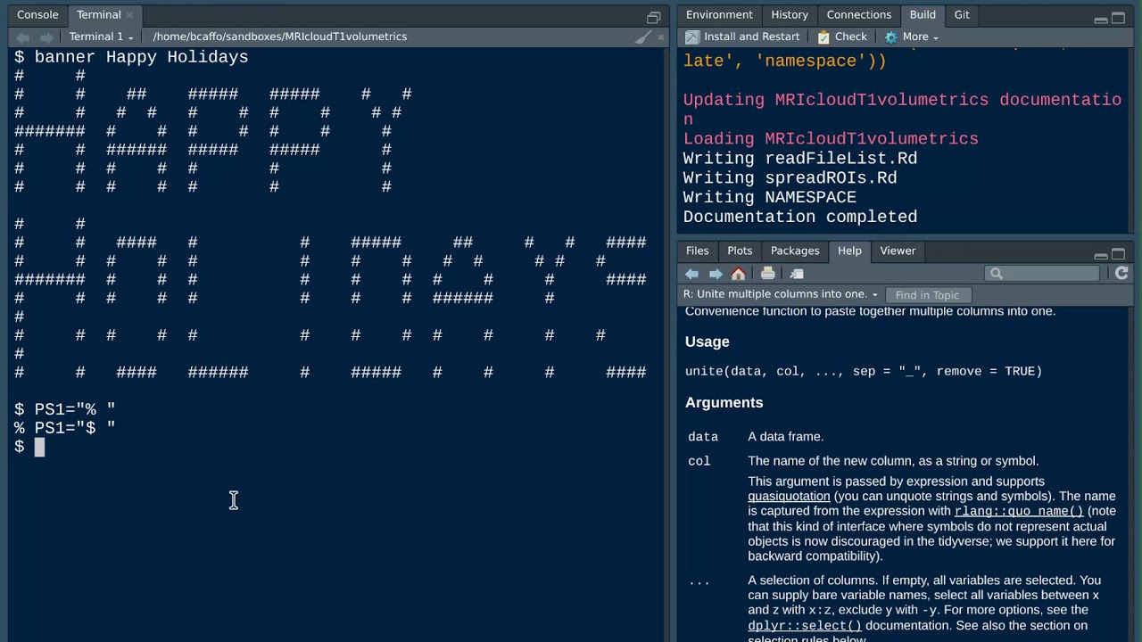 Try out the new Rstudio server - YouTube