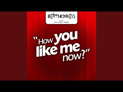 The Beatmonkeys – How You Like Me Now? (2008, CDr) - Discogs