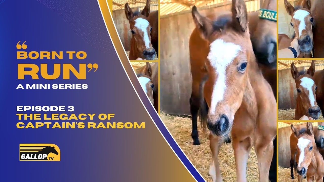 BORN TO RUN : THE LEGACY OF CAPTAIN'S RANSOM - YouTube