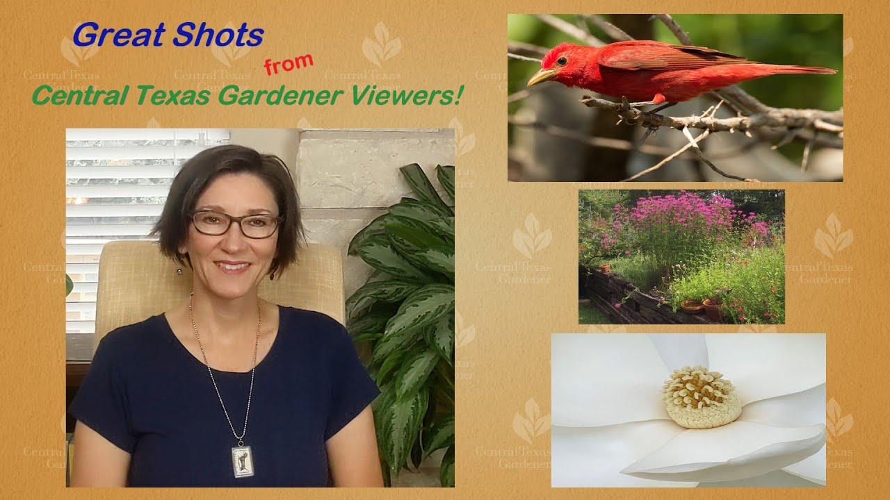 Great Garden Shots! - YouTube