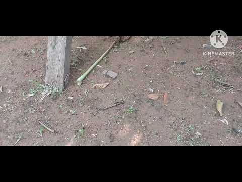 Klasky Csupo Water Inflation