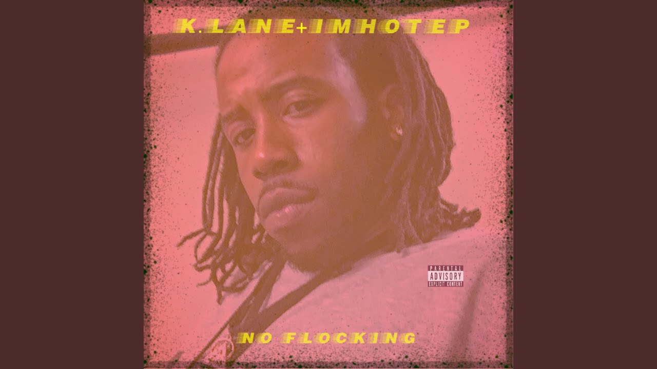 No FLocKinG - YouTube