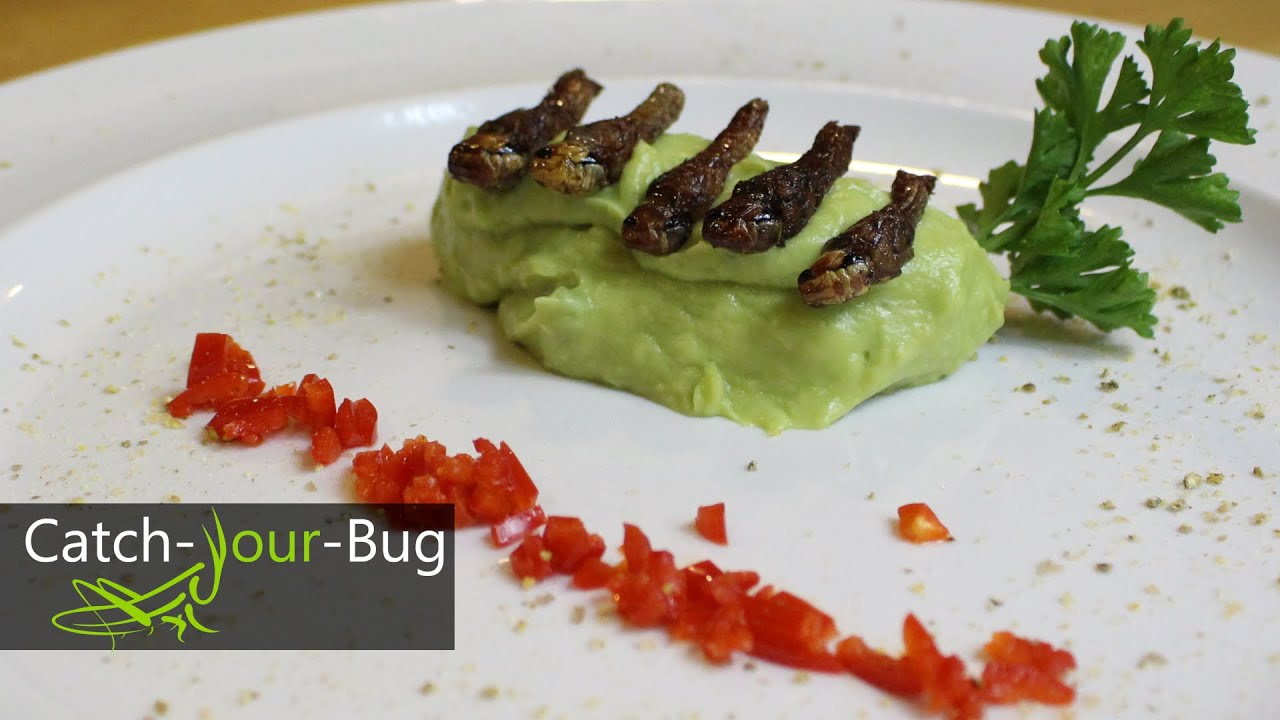 Geröstete Insekten mit Avocado Dip || Catch-your-bug - YouTube