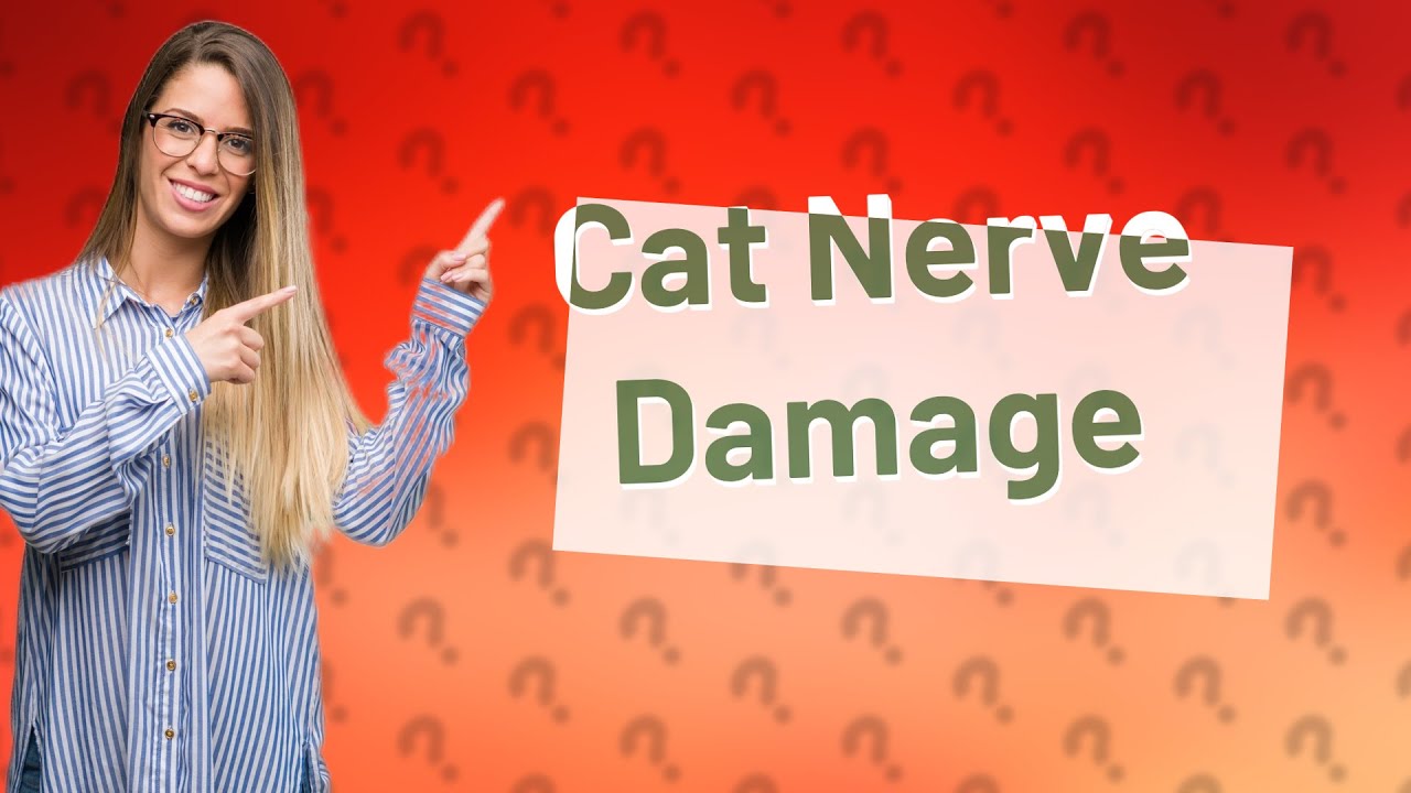 How long does it take for nerve damage to heal in cats? - YouTube