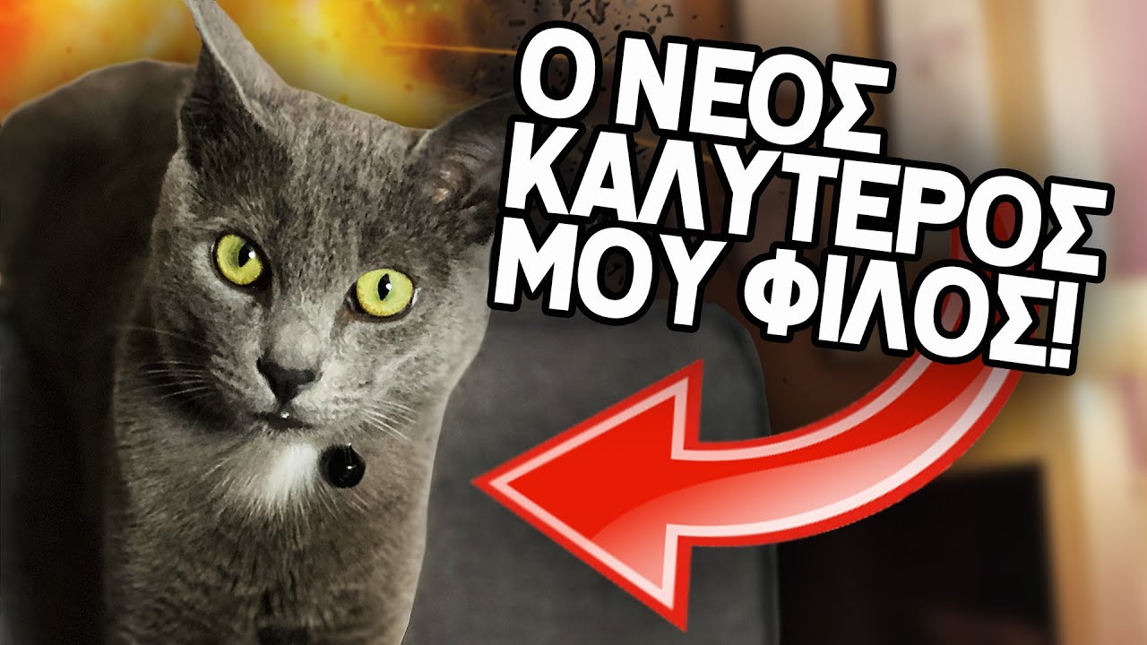 Ο ΝΕΟΣ ΚΑΛΥΤΕΡΟΣ ΜΟΥ ΦΙΛΟΣ! - YouTube