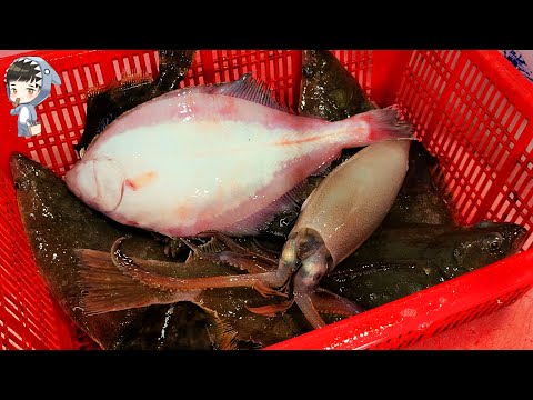 Korea Street Food HALIBUT SASHIMI flounder Pohang Seafood Market 참가자미 회 손질 포항 송도활어회센터 03