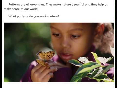 Patterns in nature by Jennifer Roy AR read aloud accelerated reader ...