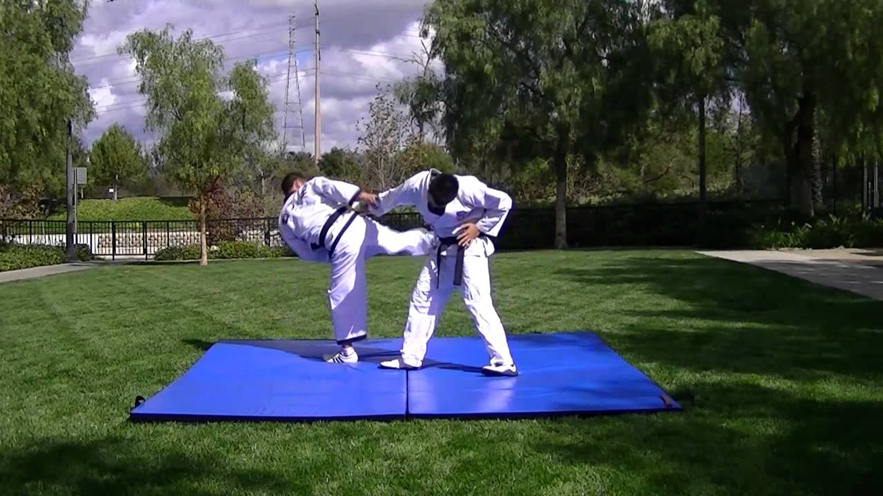 Hapkido Defense Against Punch Kick1-10 방권술 차기 - YouTube