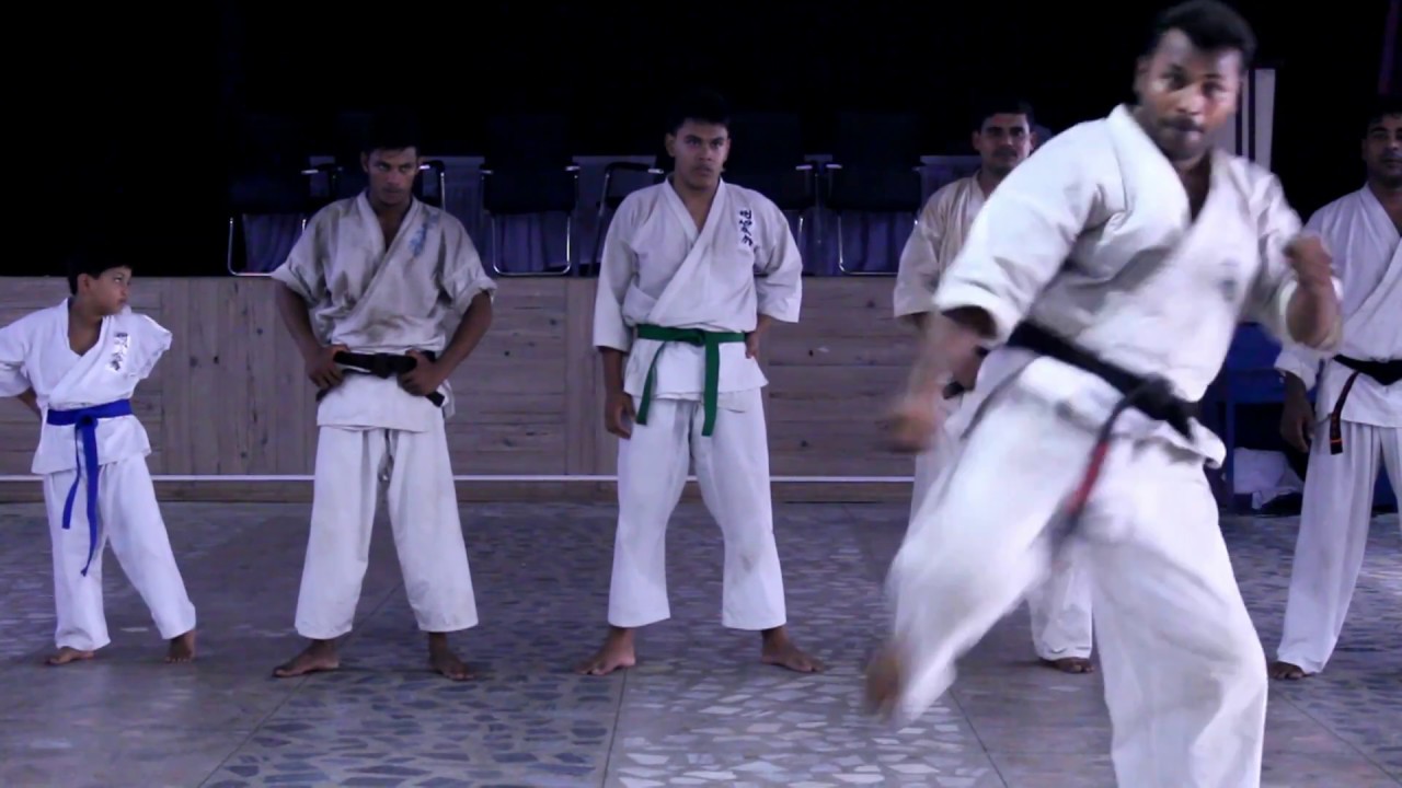 Enshin Development Foundation Enshin Knock-out Karate - YouTube