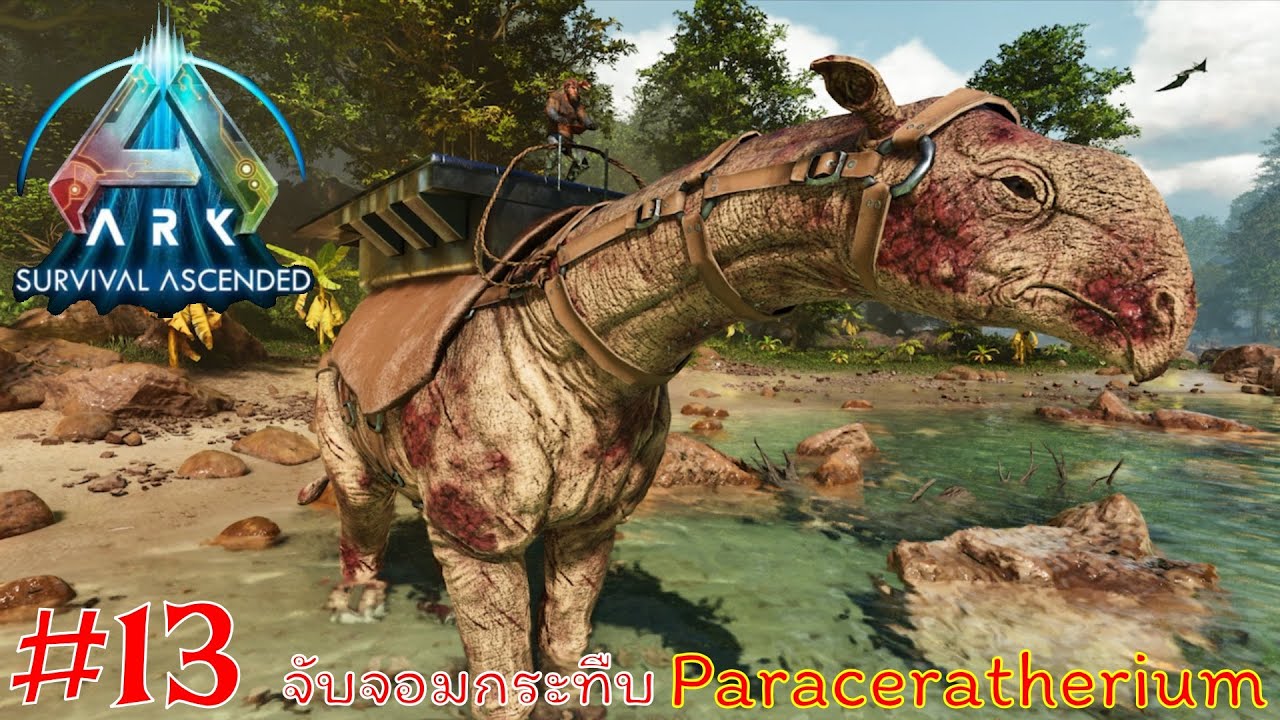 ark survival ascended EP.13 จับจอมกระทืบ Paraceratherium - YouTube