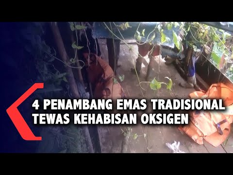 4 Penambang Emas Tradisional Tewas Kehabisan Oksigen