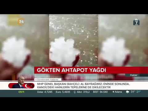 Çin'de gökten ahtapot yağdı