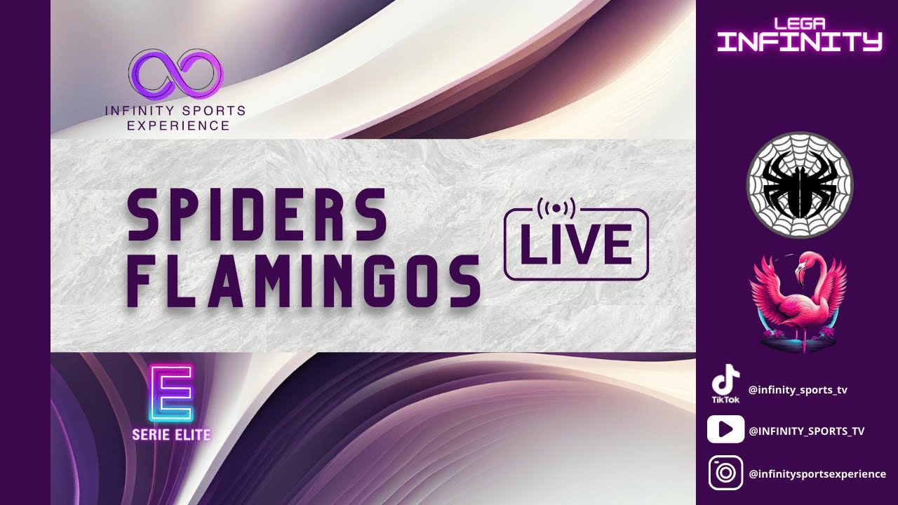 SPIDERS VS FLAMINGOS | LEGA INFINITY | SERIE ELITE | ROUND 6 - YouTube