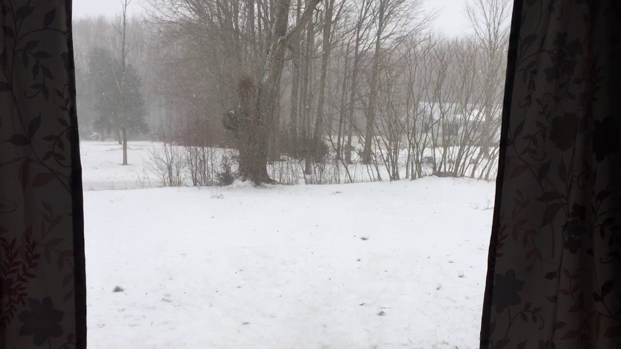 February 17, 2019 - YouTube